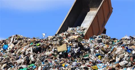 Garbage In Garbage Out Dont Kill Your CRM System