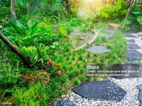 열대 뒷마당 정원에서 검은 돌 보도와 흰색 자갈의 자유로운 형태 패턴 녹색 고사리 에피피테 식물 나무의 그늘 아래 관목과 덤불 안개 스프링클러에 의해 물을 좋은 관리 유지