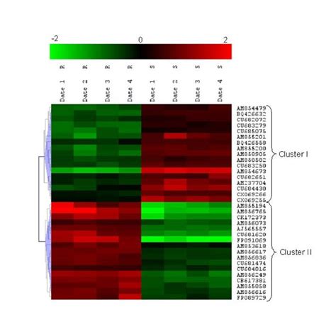 Cluster Analysis Of Expression Profiles Of The Genes Selected By