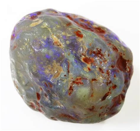 61 60ts Lightning Ridge Fossil Crystal Qom 1715 Crystals Gems And Minerals Stones And Crystals