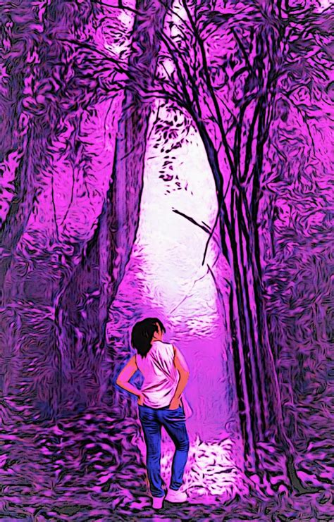 Jacarandas
