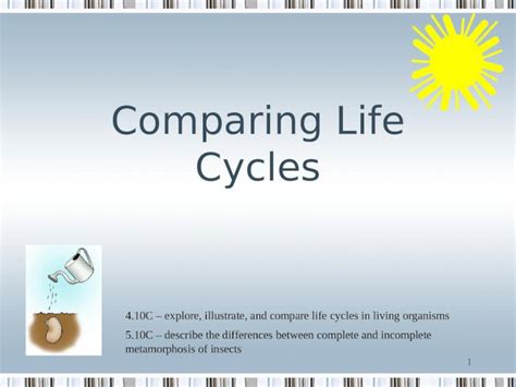 pptx comparing life cycles 1 4 10c explore illustrate and compare