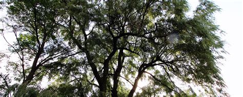 Wls Psi Nondegreeprograms Wisconsin Lutheran Seminary