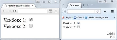 Кастомное оформление Checkbox и Radio кнопок средствами Css Vaden Pro