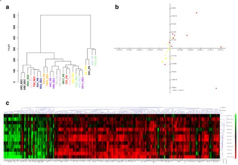 A Dendrogram Obtained From Unsupervised Hierarchical Clustering Using