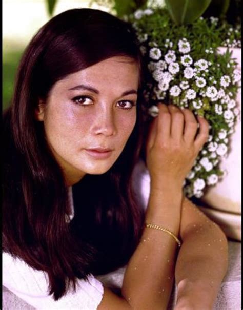 Nancy Kwan Son 366 Nancy Kwan Photos And High Res Pictures Getty