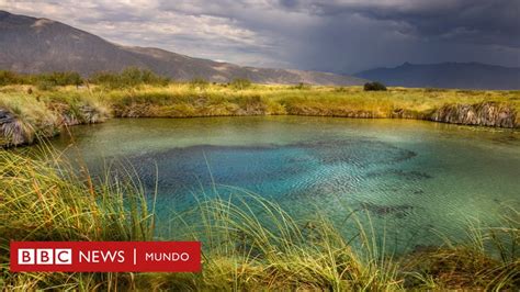 Cuatro Ciénegas El Singular Paraje De México Que Puede Tener La Cura