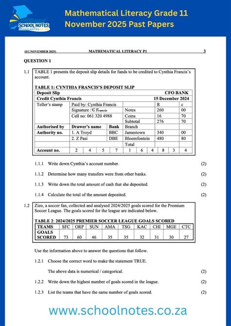 Mathematical Literacy Grade 11 November 2025 Past Papers School Notes