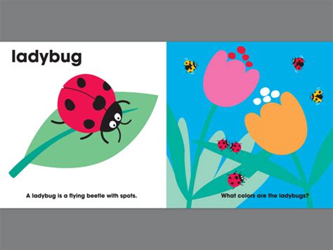 ‎wee Sing And Learn Bugs On Apple Books