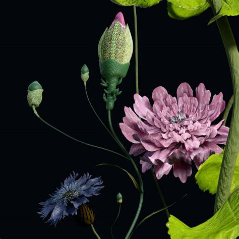 Viriditas A Closer Listen