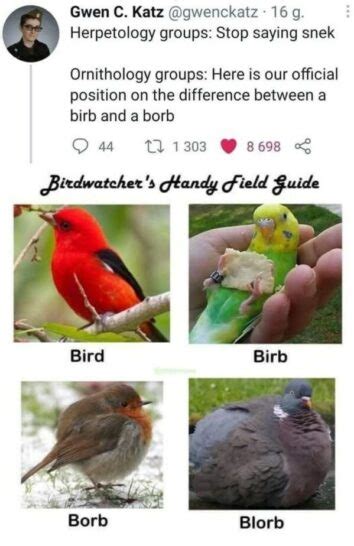 40 Funny Bird Memes For People Who Love A Good Squawk May 12 2025