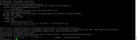 How To Install Nginx On RHEL Bitscentric