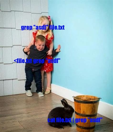 Cat Filetxt Grep Asdf Rlinuxmemes