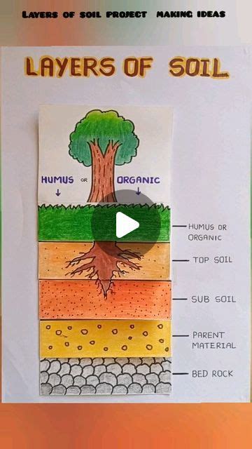 Layers Of Soil Artofit