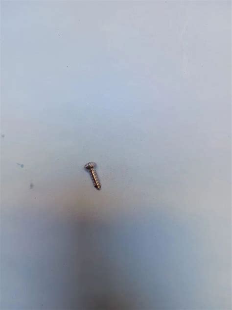 3mm Titanium Bone Screw At Rs 250piece Burari New Delhi Id