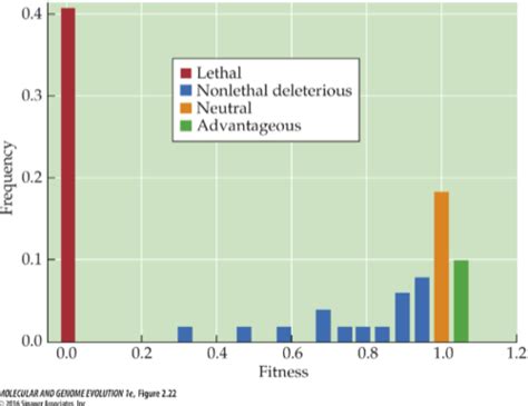 Lecture 8 Phylogenetic Tree Construction Flashcards Quizlet