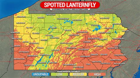 Where Spotted Lanternfly Eggs Can Survive Winter Temperatures In