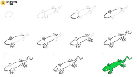 How To Draw A Lizard Step By Step Hand Of Art