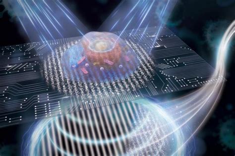 【wiley Industry News】better Microscopy For Live Cell Real Time Imaging 南京理工大学 智能计算成像实验室 Scilab