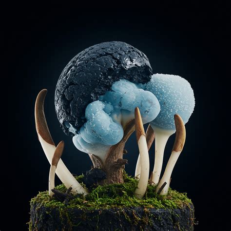 Path Dependency Theory → Term