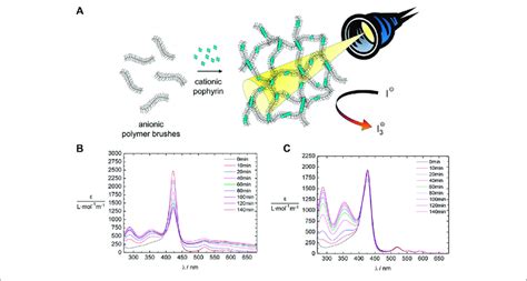 Polyelectrolyte Brush Porphyrin Assemblies As Photocatalysts A Download Scientific Diagram