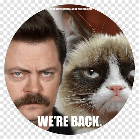 Grumpy Cat Kristen Stewart Meme
