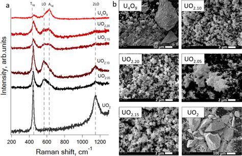 Uranium Oxides Structural Transformation In Human Body Liquids Pmc