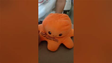 Cute Octupus Youtube