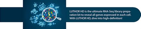 Discover The Most Sensitive Rna Seq Kit In The Market