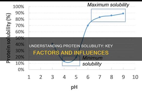 Understanding Protein Solubility Key Factors And Influences Medshun