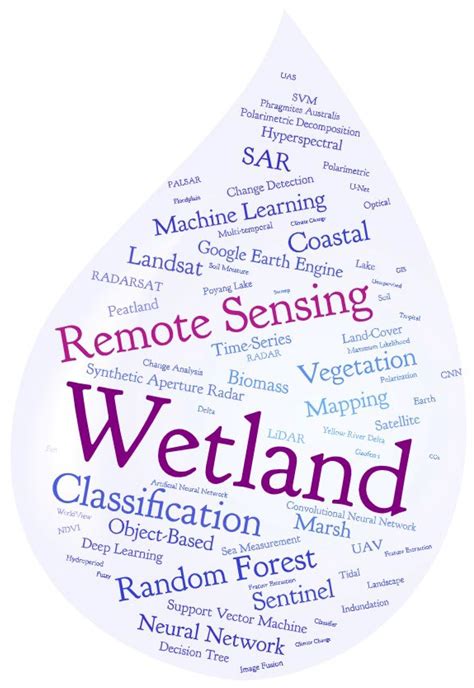 Remote Sensing And Machine Learning Tools To Support Wetland Monitoring