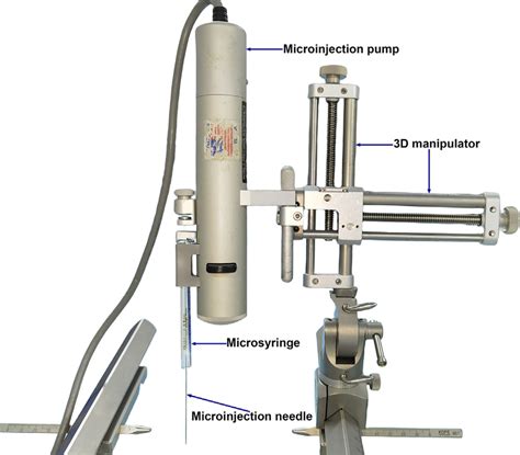 Assembled Microinjection Pump Microinjection Syringe And The 3d