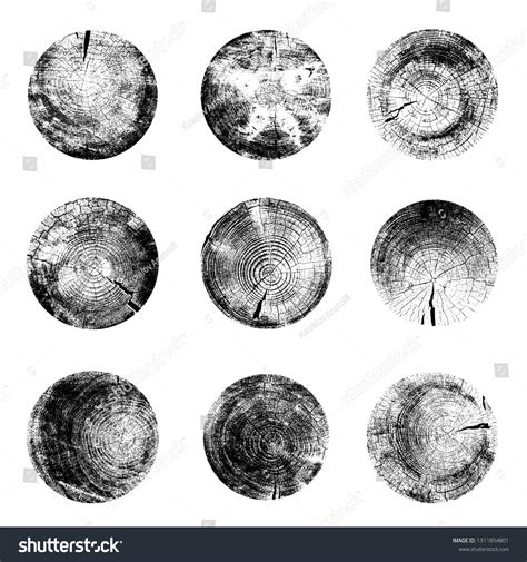 Set Tree Rings Background Your Design Stock Vector Royalty Free 1311854801 Shutterstock