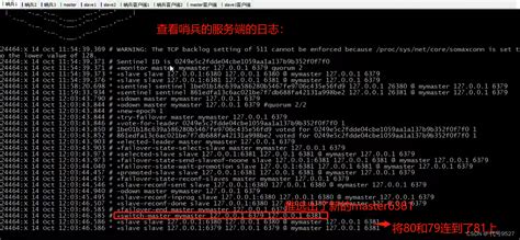 Redis学习笔记第十二章 Redis哨兵模式 极客之音