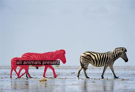 A Deep Guide To Text Guided Open Vocabulary Segmentation Width Ai