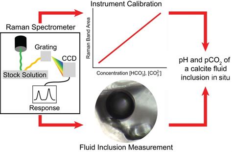 In Situ Quantification Of Carbonate Species Concentrations Ph And Pco2 In Calcite Fluid