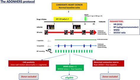The Dipyridamole Stress Echo In The Adonhers Protocol [adapted From