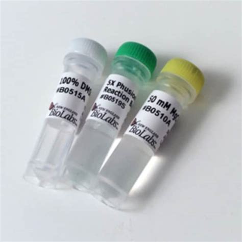 New England Biolabs Inc Phusion GC Buffer Pack Ml X Ml Fisher Scientific
