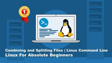 317 Combining And Splitting Files Linux Command Line Linux For