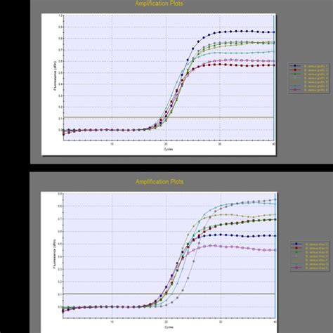 amplification plots of real time rt qpcr assay for detection of b