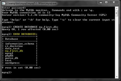 “building Your First Database A Beginners Journey Through Sql Basics