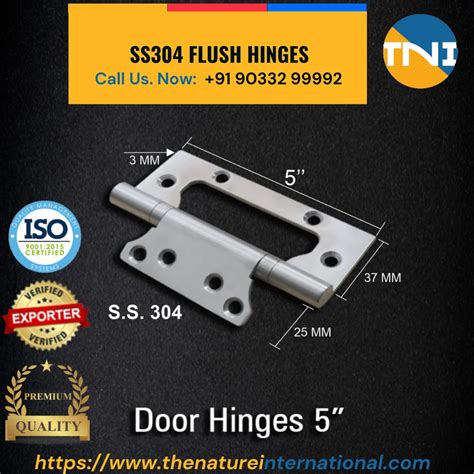 Concealed Flush Door Hinges At Evelyn Vaughn Blog