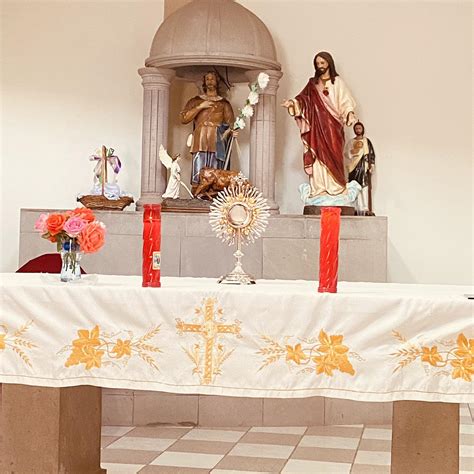 Panales Galerastreet Oficial