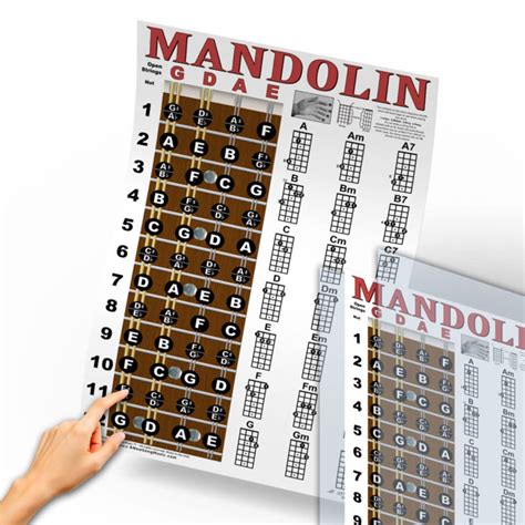 Laminated Mandolin Fretboard Notes And Easy Beginner Chord