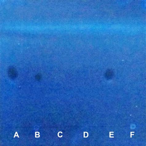 Chemical Structure Of Toltrazuril Download Scientific Diagram