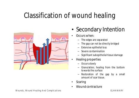 Scar Healing By Secondary Intention At Norman Nelson Blog