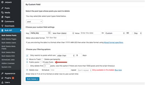 Bulk Delete Posts By Custom Field Bulk WP