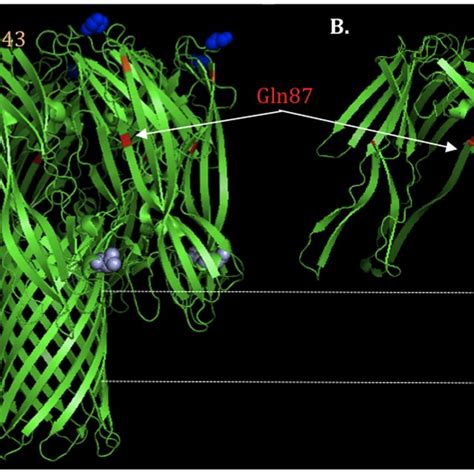 Pdf Insights Into Alpha Hemolysin Hla Evolution And Expression
