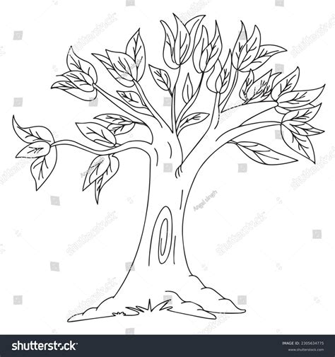 Tamarind Coloring Page Over 55 Royalty Free Licensable Stock