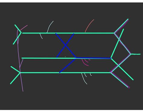 Brachial Plexus Muscles Only Quiz